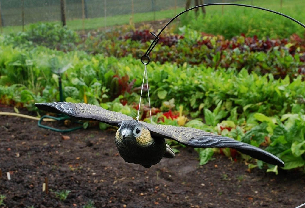 Los 10 mejores ahuyentadores de pájaros - Jardinizados.com