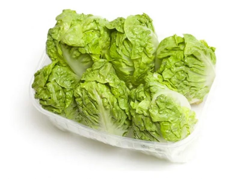 Tipos de lechuga - Jardinizados.com